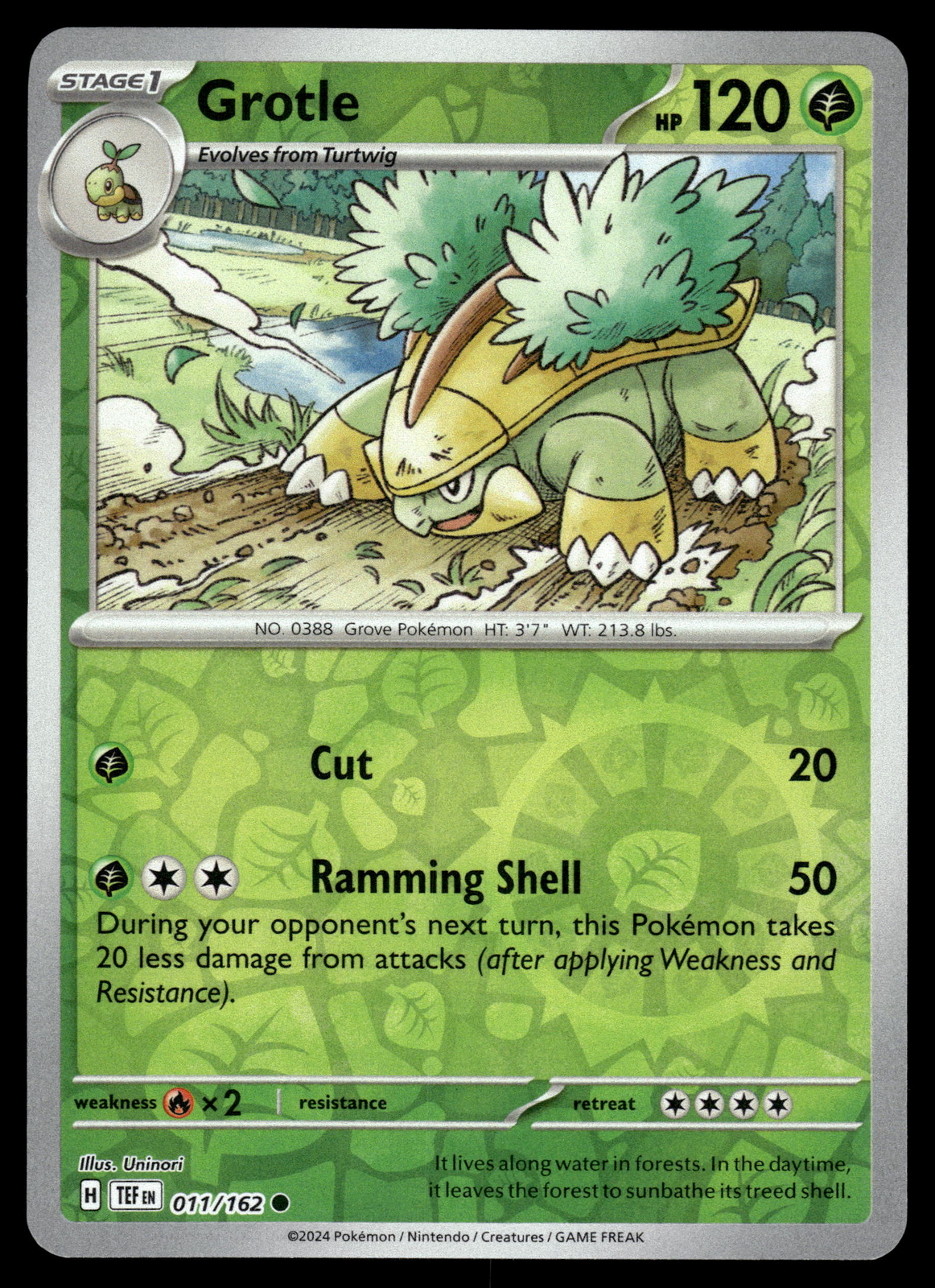 Grotle Reverse Holo NM 011/162 Temporal Forces Pokemon Card | eBay
