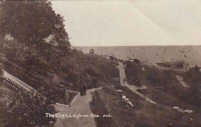 Postcard - Leigh-on-Sea - The Cliffs | eBay
