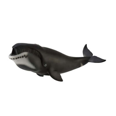 CollectA Realistic Bowhead Whale Action Figure Extra Large Ages 3 Years ...