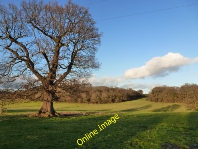 Photo 6x4 Winter sunshine scene from the roadside at Mount Ballan c2012 ...