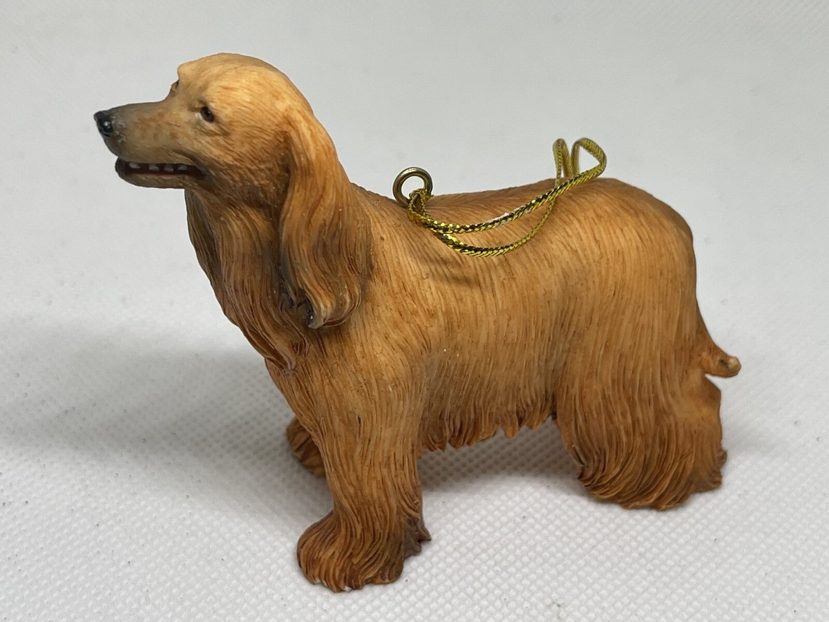 Red Afghan Hound Afghan Hound Breed Dog Looking To The Side Stock