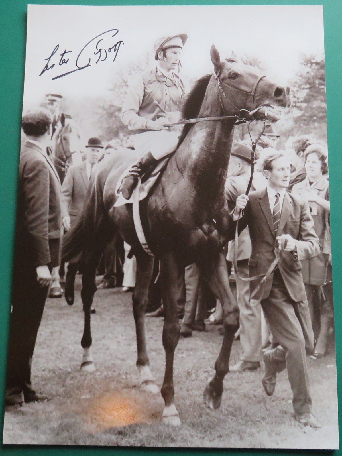 Lester Piggott Signed Horse Racing Large Photo COA Nijinsky | eBay UK