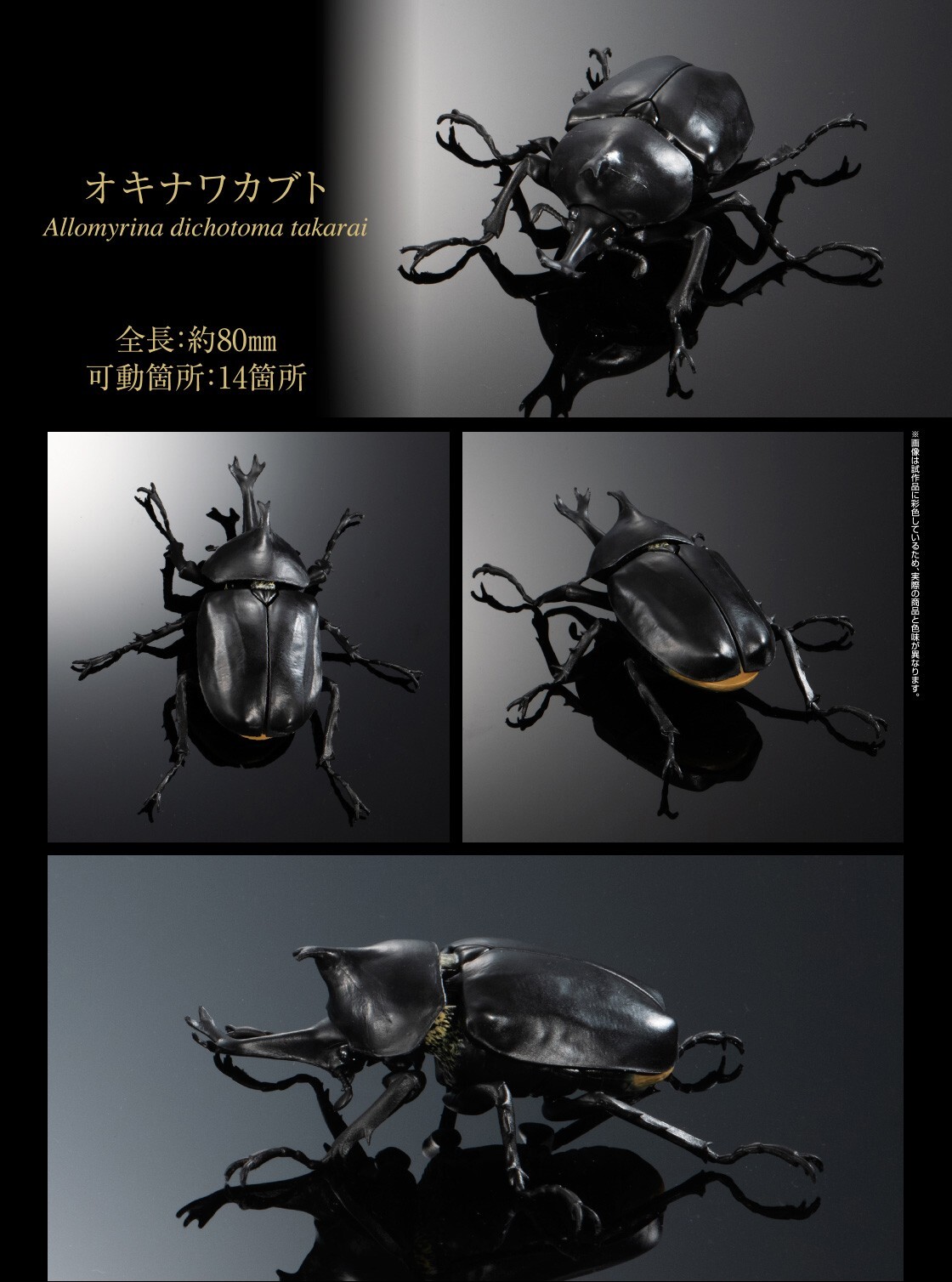 Bandai The Diversity of Life on Earth Beetle Figure Allomyrina ...