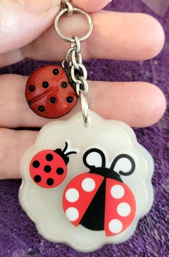 *Cute Ladybug Key Chain #1 - Mother Nature - Handbag Backpack Charm ...