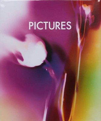 Pictures by Ken Miller (English) Paperback Book 9780578763576 | eBay