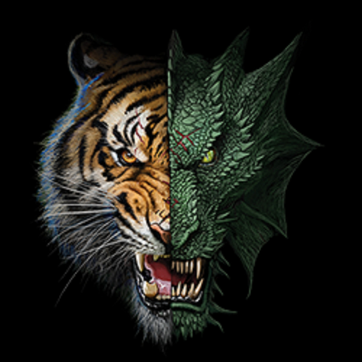 Half Dragon Half Tiger