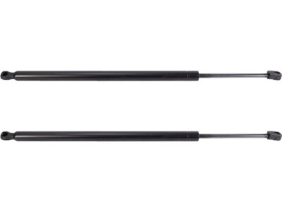 Lift Support Set 87VRDJ66 for Chevy Traverse 2018 2019 2020 | eBay