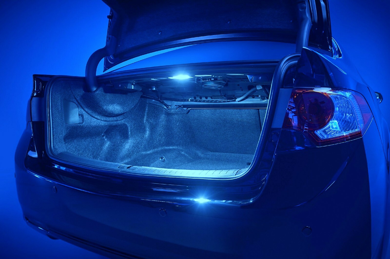 LED 3030 Light Blue 10000K 194 Two Bulbs License Plate Tag Upgrade Lamp ...