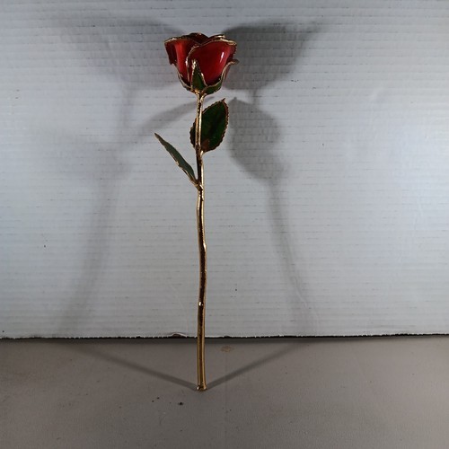 I Hate Steven Singer Forever Real Rose Dipped And Trimmed In 24k Gold ...