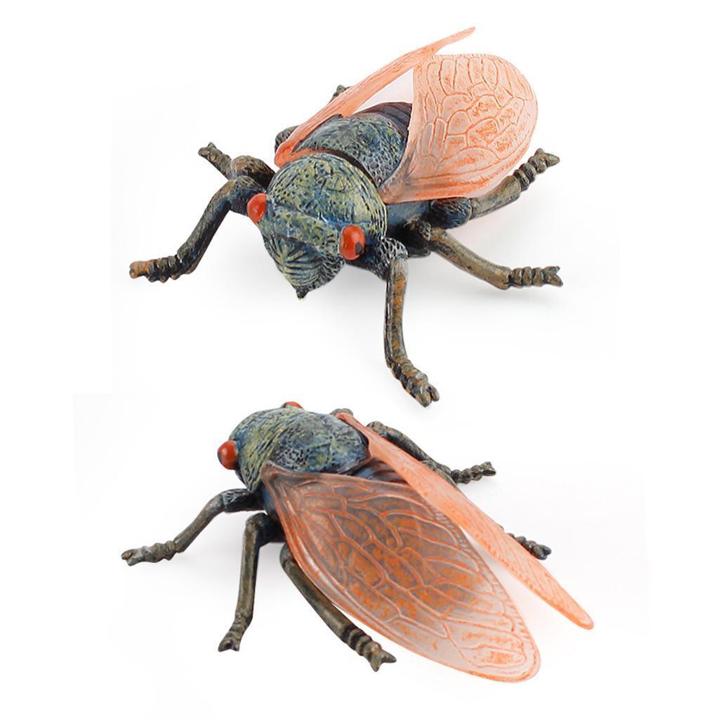 3x Model Fake Cicada Lifelike Bugs Toy | eBay