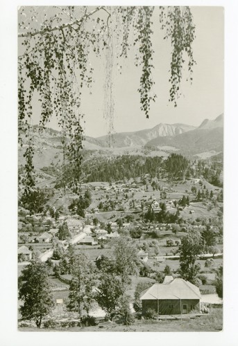 Valea Dambovitei la Rucar RPPC Vintage ROMANIA Photo AK Carte Poştală ...
