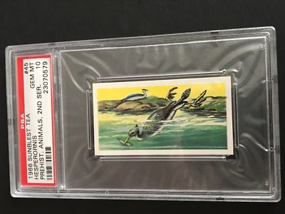 1966 Sunblest Tea Prehistoric Animals 2nd Series Hesperornis PSA 10 | eBay