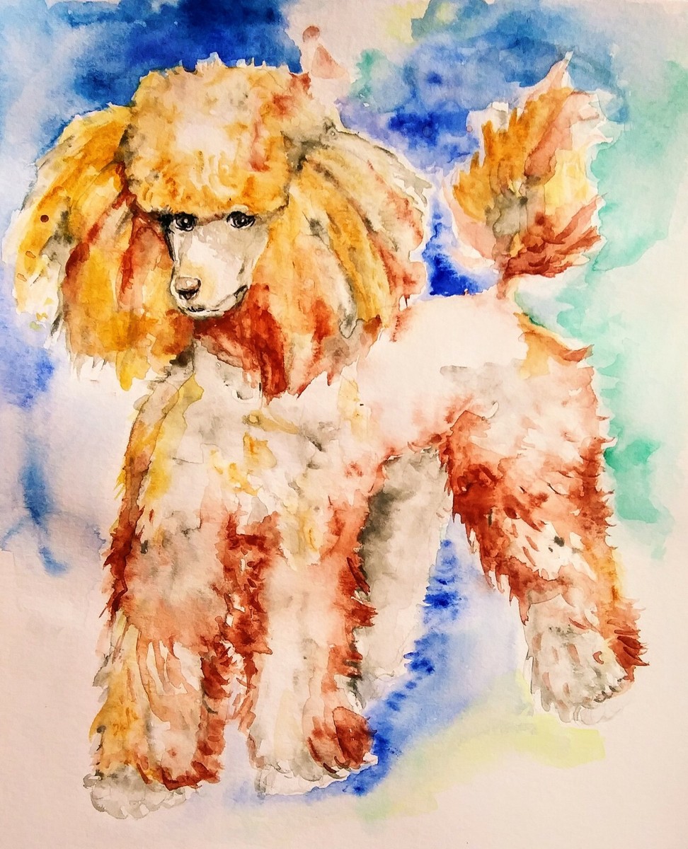Colorful Poodle Paintings
