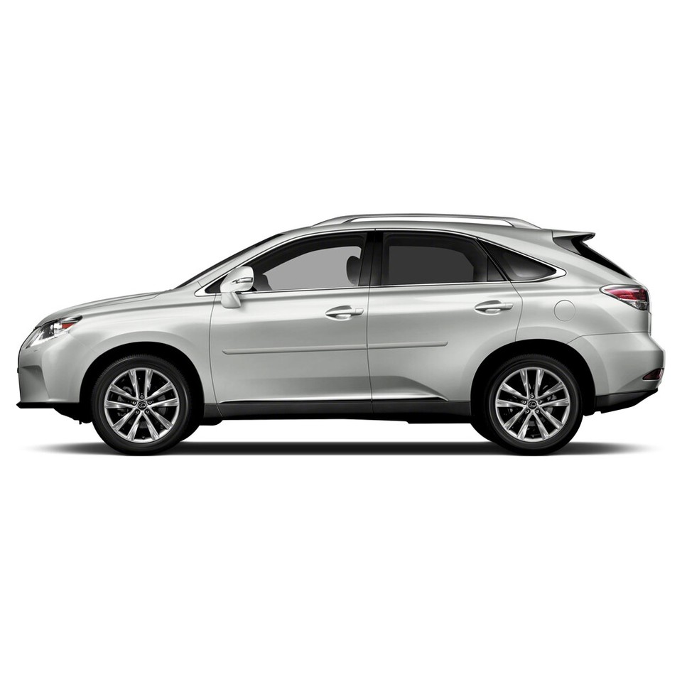 For: Lexus RX 2010-2015 Painted Body Side Moldings #FE-RX | eBay