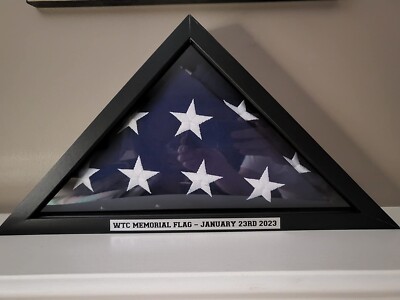 USA AMERICAN US FOLDED MEMORIAL FLAG TRIANGLE DISPLAY CASE BOX BURIAL ...