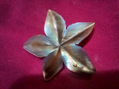 Vintage Hawaii Abalone Shell Brooch | eBay