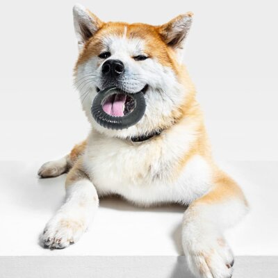 Dog Chew Toy for Aggressive Chewer Relieves Anxiety & Stress - Black ...