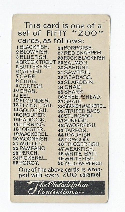 E32 Zoo Caramel Fish Card Chub Philadelphia Confections #8 1910 | eBay