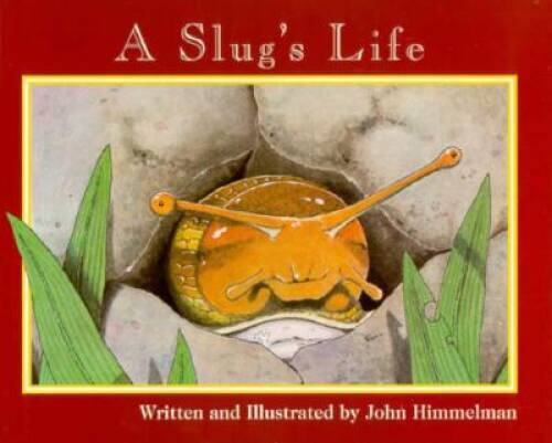 A Slugs Life (Nature Upclose) - Paperback By Himmelman, John - VERY ...