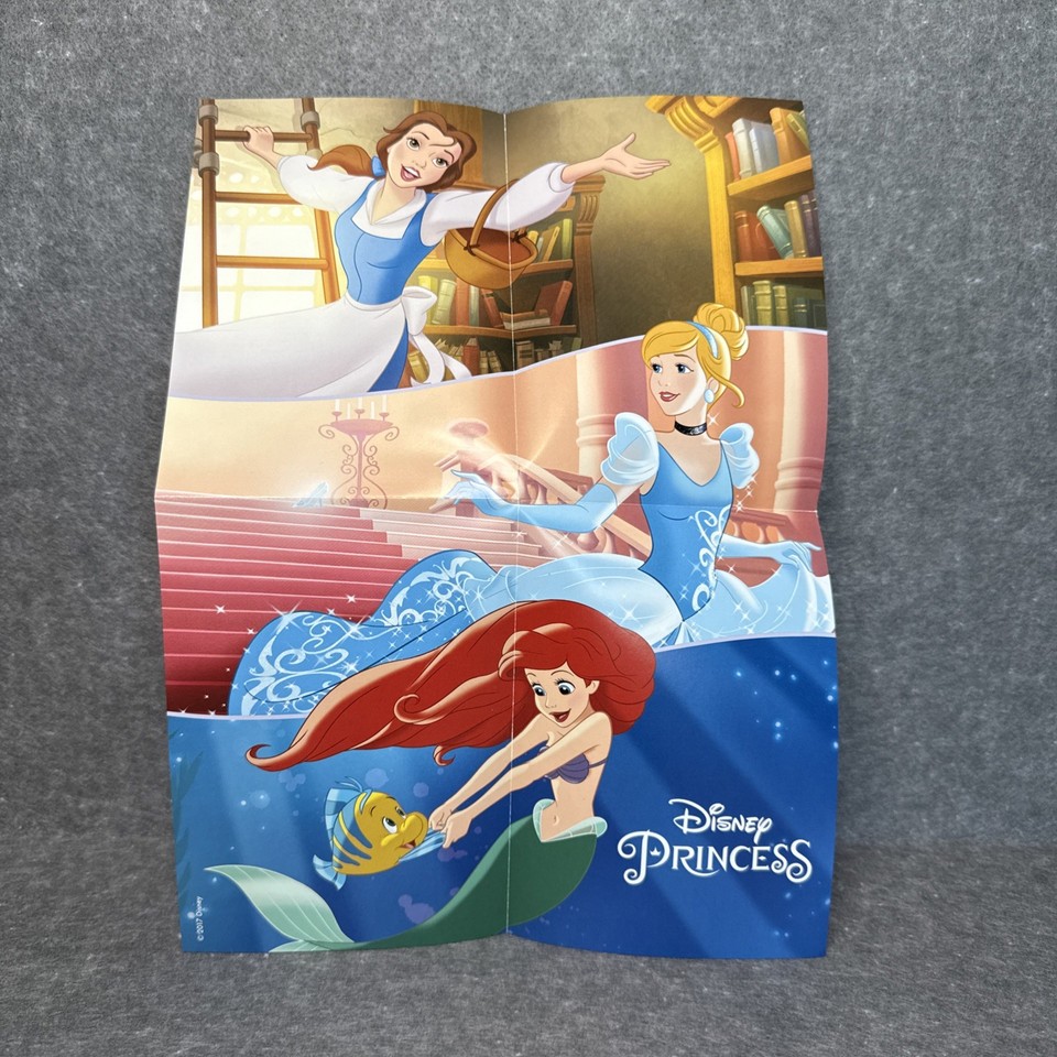 DISNEY Princess Chapter Book Collection Eight Enchanting Books Box Set ...
