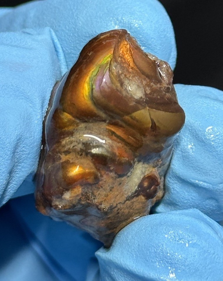 Fire Agate High Grade & Imperial Personal Collection Rough & Windows ...