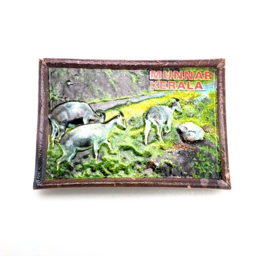 Kerala India Refrigerator Fridge Magnet Travel Souvenir Travel Gift ...