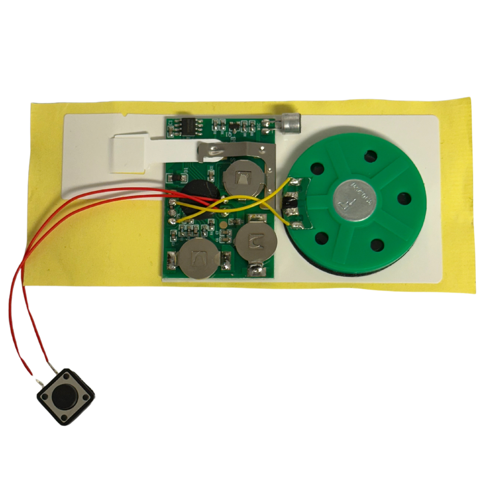 30s Greeting Card Recordable Voice Chip | DIY Sound Module Music ...