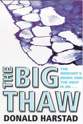 The Big Thaw by Donald Harstad (Paperback, 2000) for sale online | eBay ...