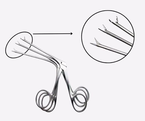 Precision Micro Ear Forceps Set 3 Pcs ENT Surgical Instruments For ...