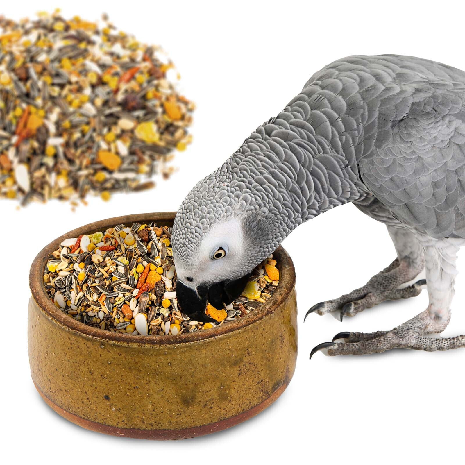 Parrot Essentials African Grey Parrot Food Premium Seed Mix for Pet ...