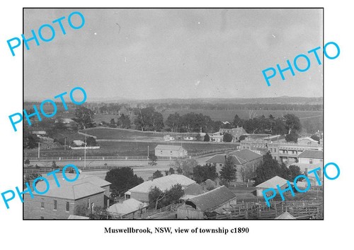 OLD 8x6 PHOTO MUSWELLBROOK NSW PANORAMA OF TOWNSHIP c1890 | eBay