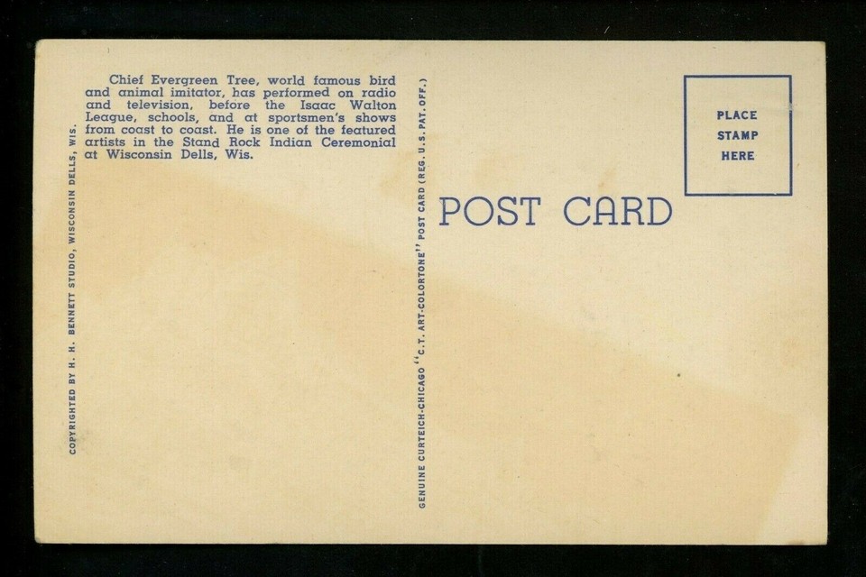 Native Americana Vintage linen postcard Chief Evergreen Tree Wisconsin ...