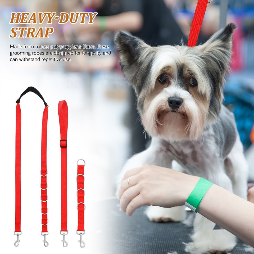 Pet Restraint Dog Bath Leash Grooming Restraints Strap Restrainer ...