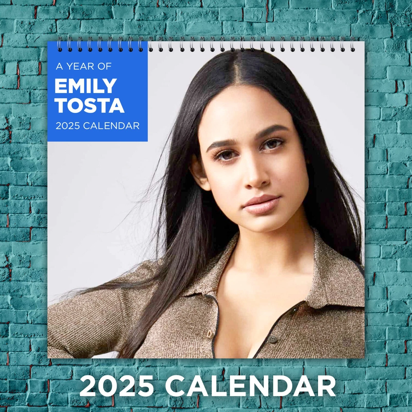 Emily Tosta 2025 Calendar, 12-Month TV & Film Star Wall Calendar | ID ...