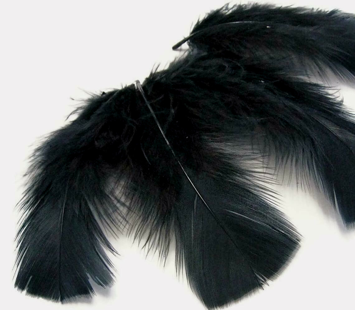 Black Turkey Plumage T Base Feathers 50 B Pcs 3-4+" Crafts DIY Decor B+ ...