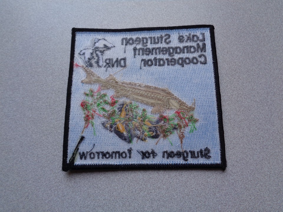 1ST YEAR - MICHIGAN DNR LAKE STURGEON FISHING PATCH. STURGEON FOR ...