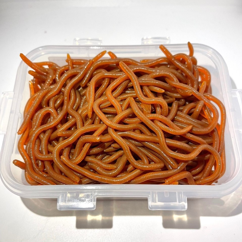 FLAVOURED / SCENTED HYPER REALISTIC JELLY FLOATING WORMS 85mm LRF ...