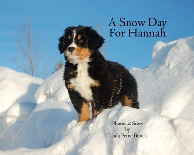 A Snow Day for Hannah (Mountain Dog Books) by Petrie Bunch BS ...
