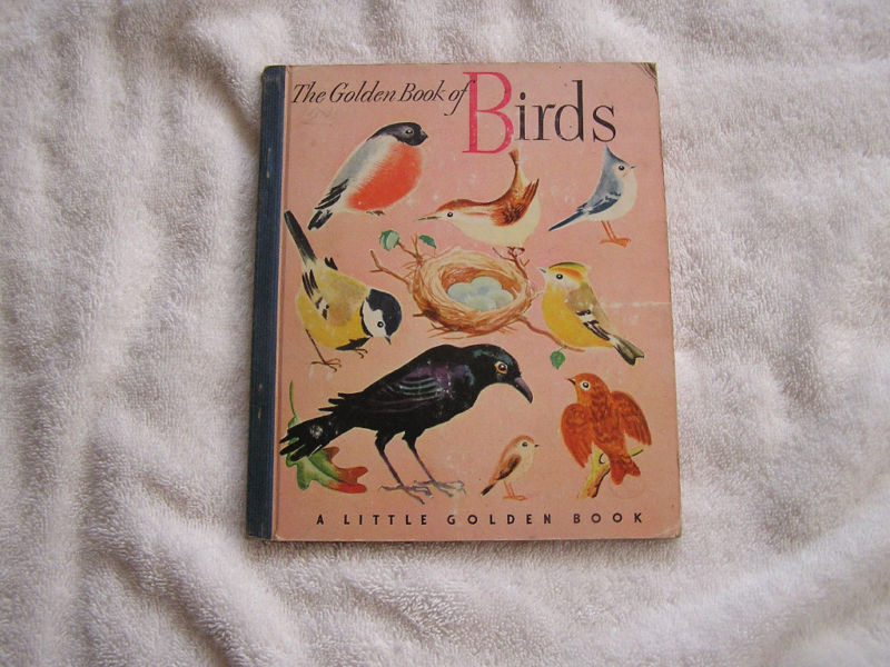 Little Golden Book of Birds Lockwood 1945 3rd Printing | eBay