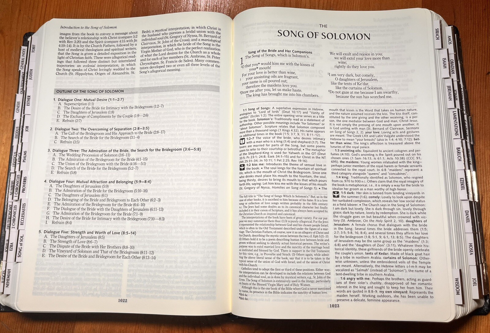 Ignatius Catholic Study Bible : Old and New Testaments by Curtis Mitch ...