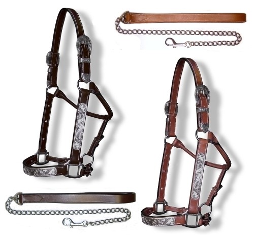 Show Halfter mit Silberbeschlag Western Showhalfter Showmanship Halter ...