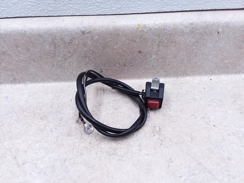 CZ Motocross 250 Model 980 4 Spd Aftermarket Kill Button Switch 1972 ...