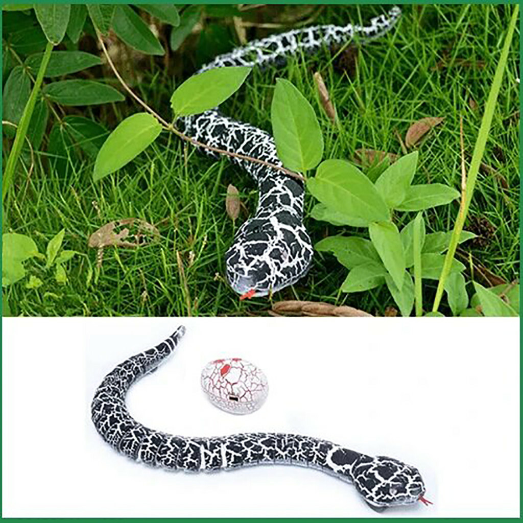 Realistic Remote Control RC Snake Toy with Shaped Infrared Control for ...