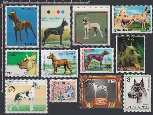 [gred] Dogs BY BREED - GREAT DANE - 12 Different Stamps - VF | eBay