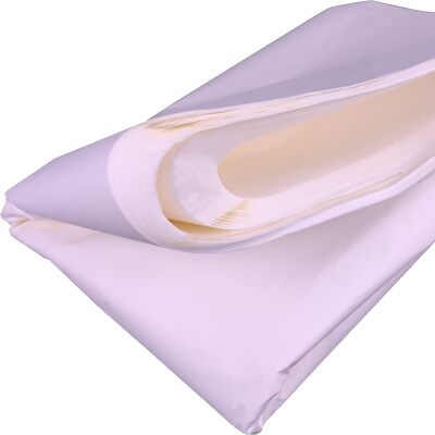 Carnival Papers Wet Strength Tissue Paper 60 Sheets | eBay UK