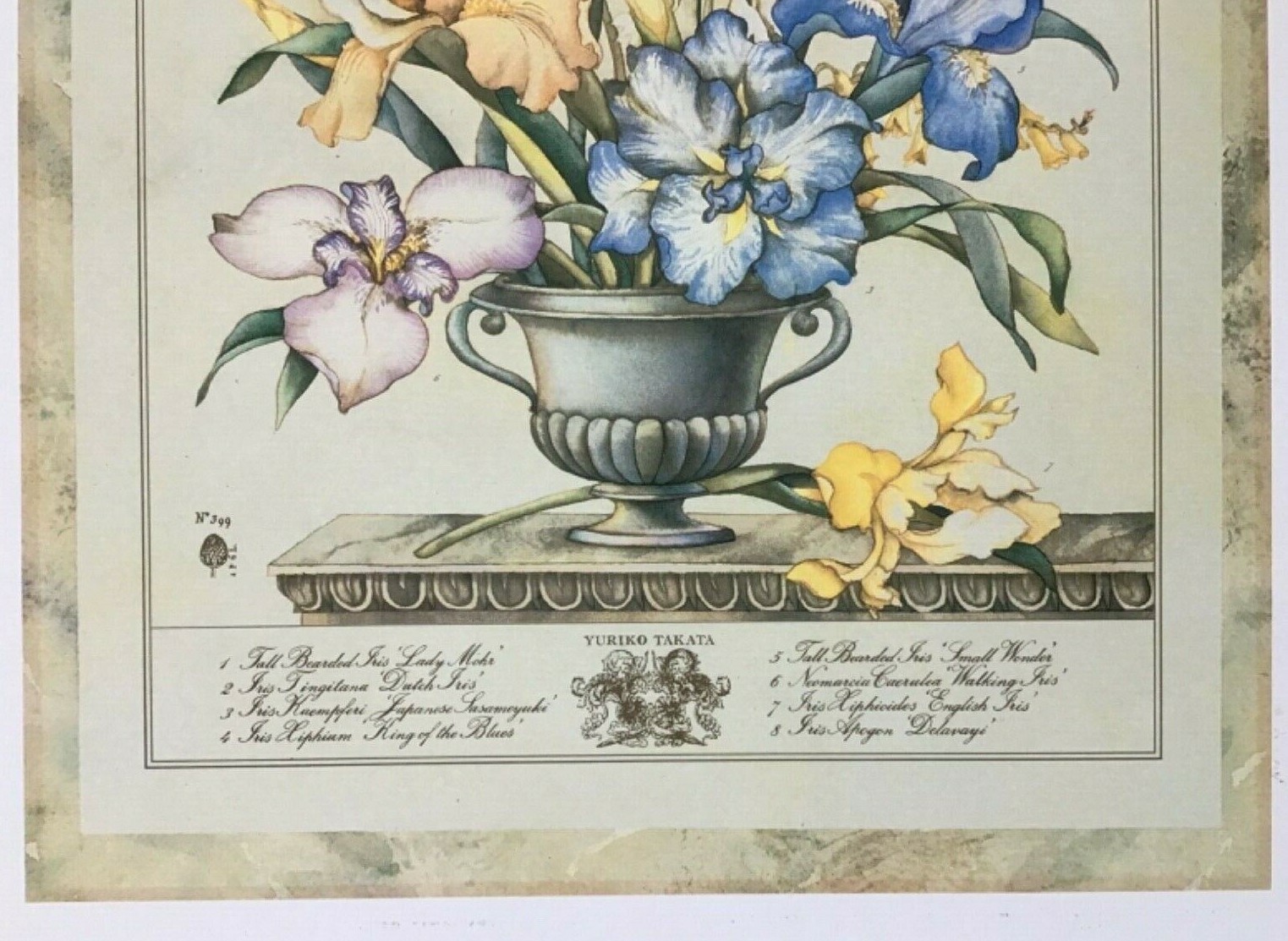 Framed Yuriko Takata Watercolour Print "IRIS”Flower Frame 30x35, Print ...