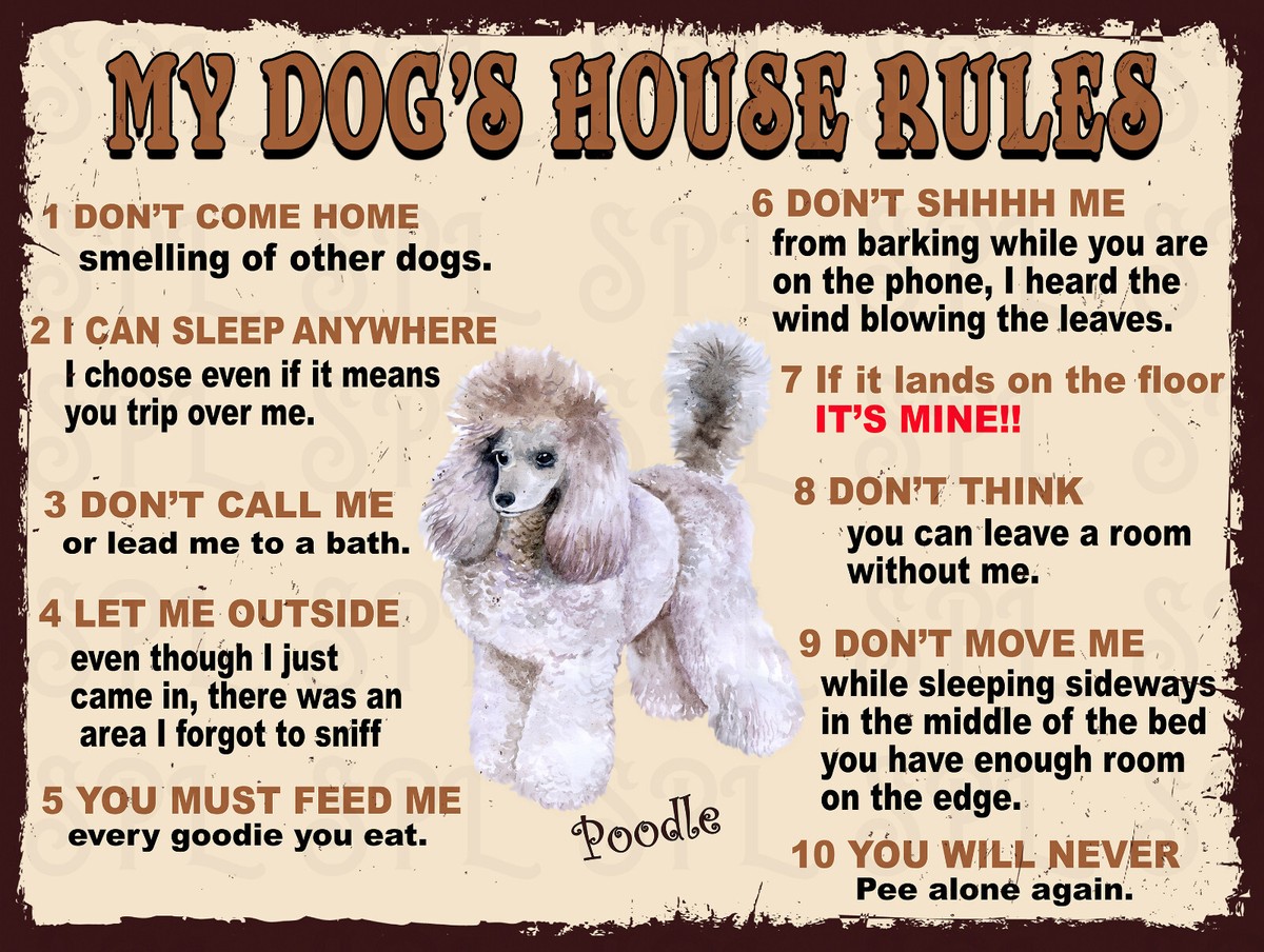 Poodle Quotes Cute Cartoon Dog Poodle Puppy Hand Drawn Dog Face With