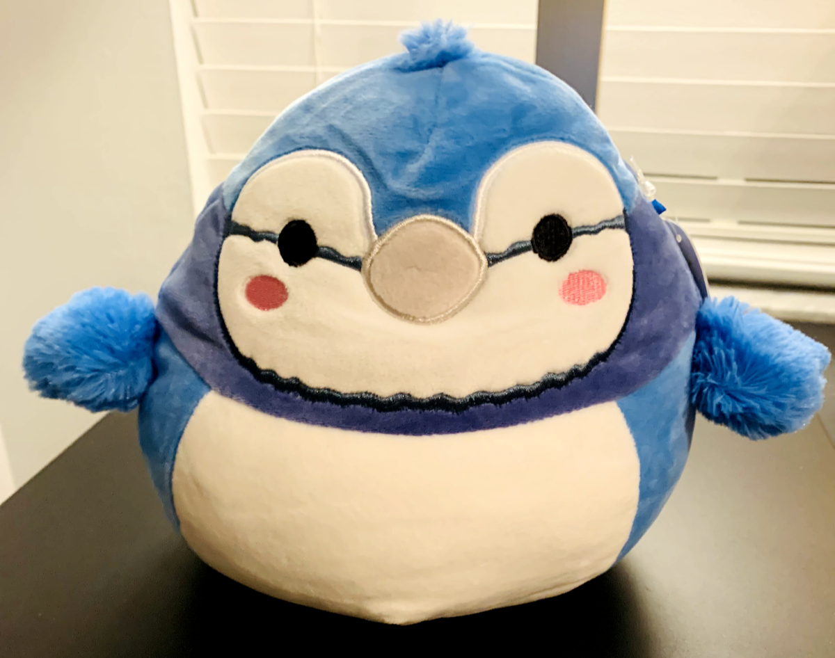 Squishmallows Babs The Blue Jay Bird 8" Plush, ORIGINAL Edition, Full 8 ...