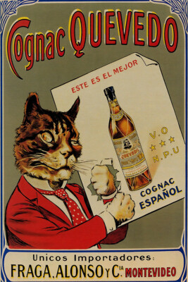 Cat Cognac Quevedo Spain Spanish Drink Bar Art Wall Room Poster ...