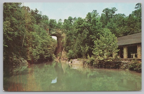 Bridge~Natural Bridge Off Lee Highway US No 11~Vintage Postcard | eBay